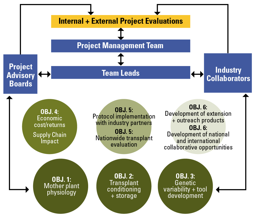 Project Structure – STRAWBERRY PIP-CAP SCRI