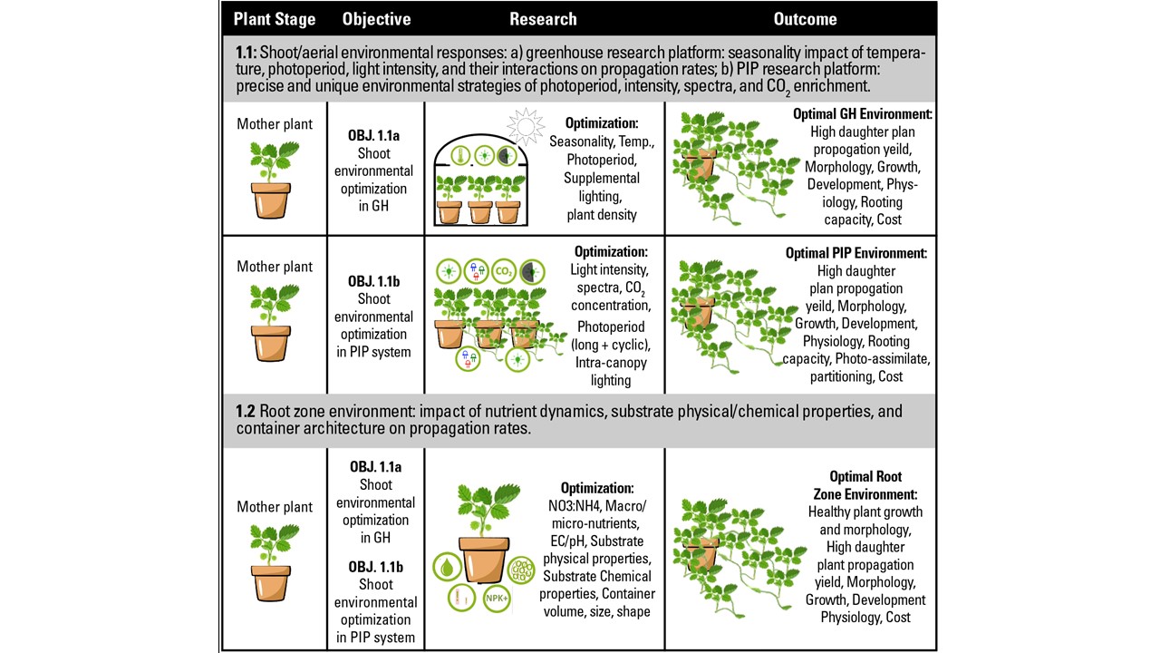 Project Objectives – STRAWBERRY PIP-CAP SCRI