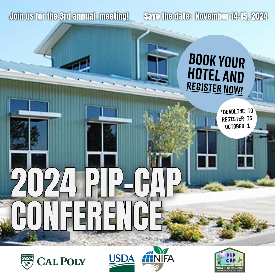 Strawberry Precise Indoor Propagation – NC State University